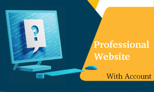 Professional Website User Login Panel